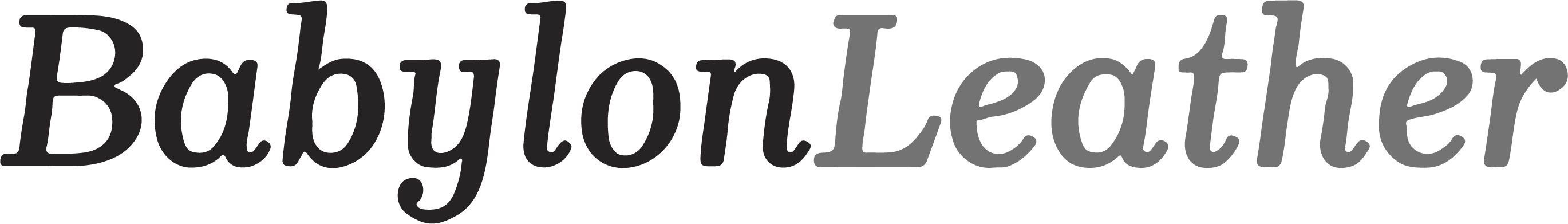 BABYLON™ Power Bank Storage Leather Pattern AAB-419 – Babylon Leather